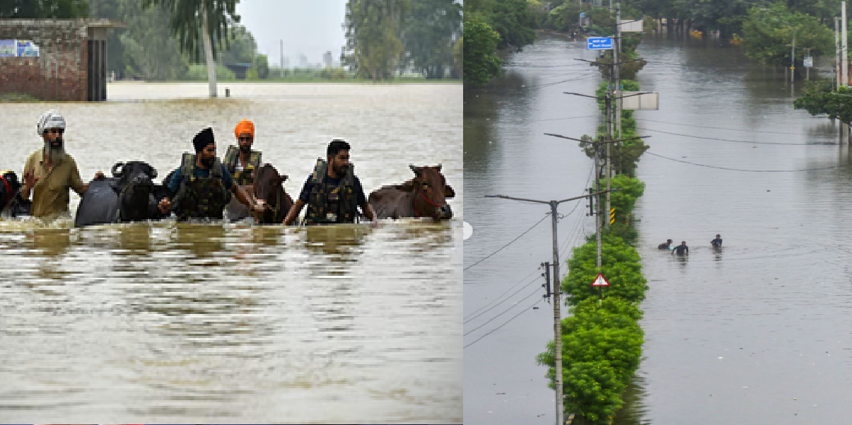 Punjab Battles Worst Flood Crisis in Decades: 30 Dead, Over 2.5 Lakh ...